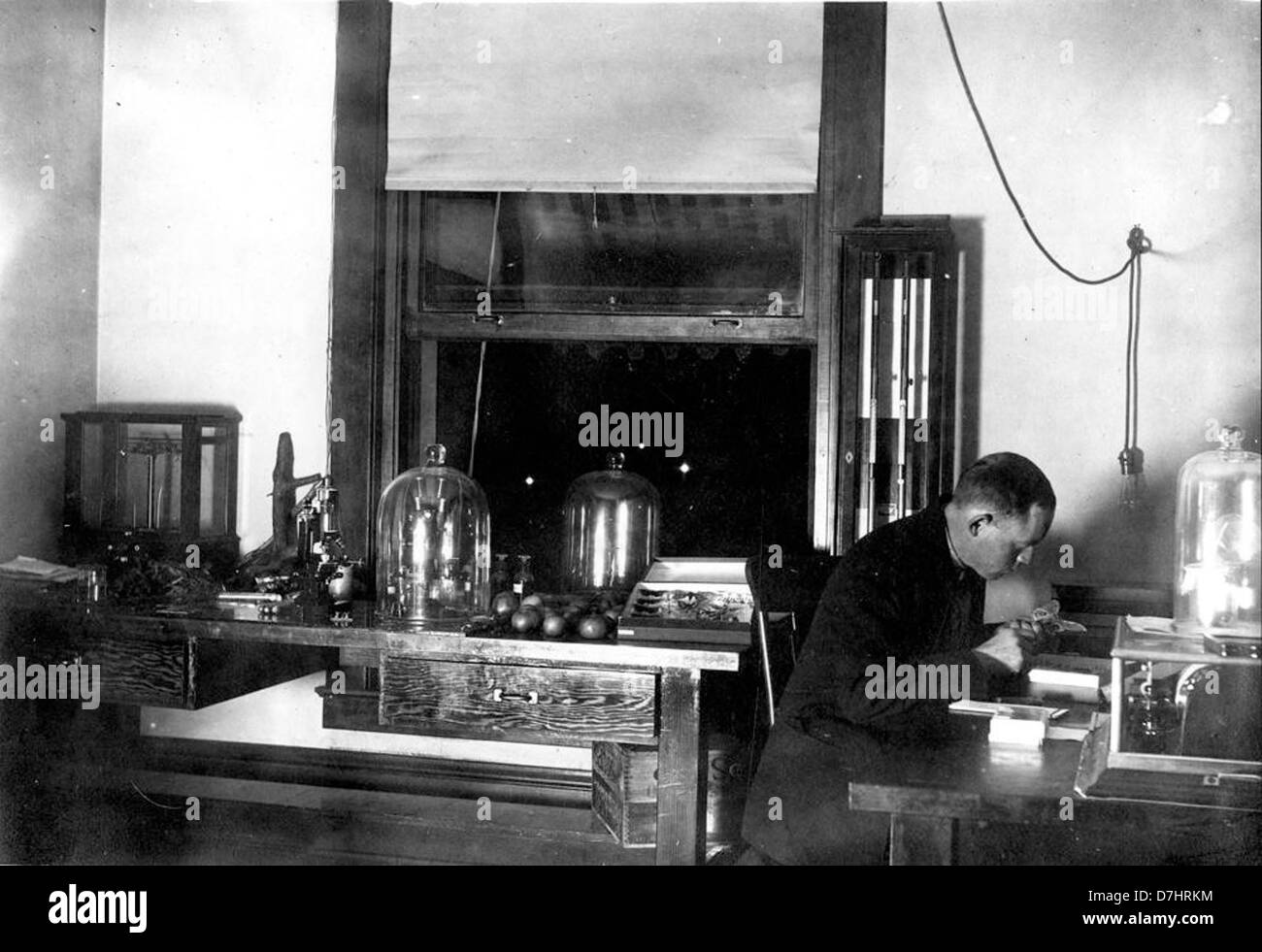 Importance of insects Black and White Stock Photos & Images - Alamy