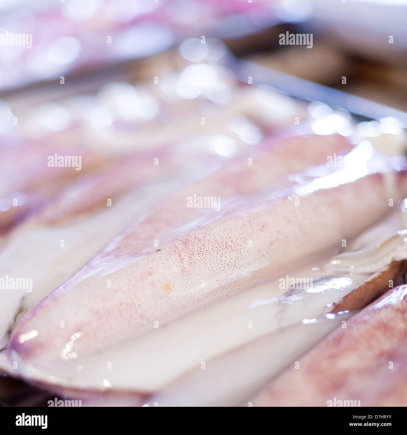 Lapu lapu fish hi-res stock photography and images - Alamy