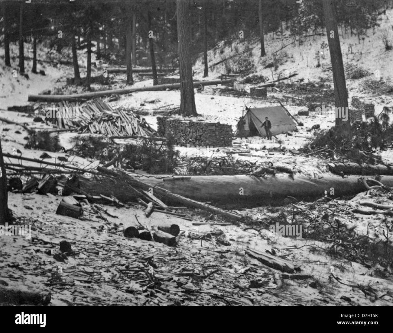 A historic photograph showing the wood camp of Jasper Simmons in Imnaha ...