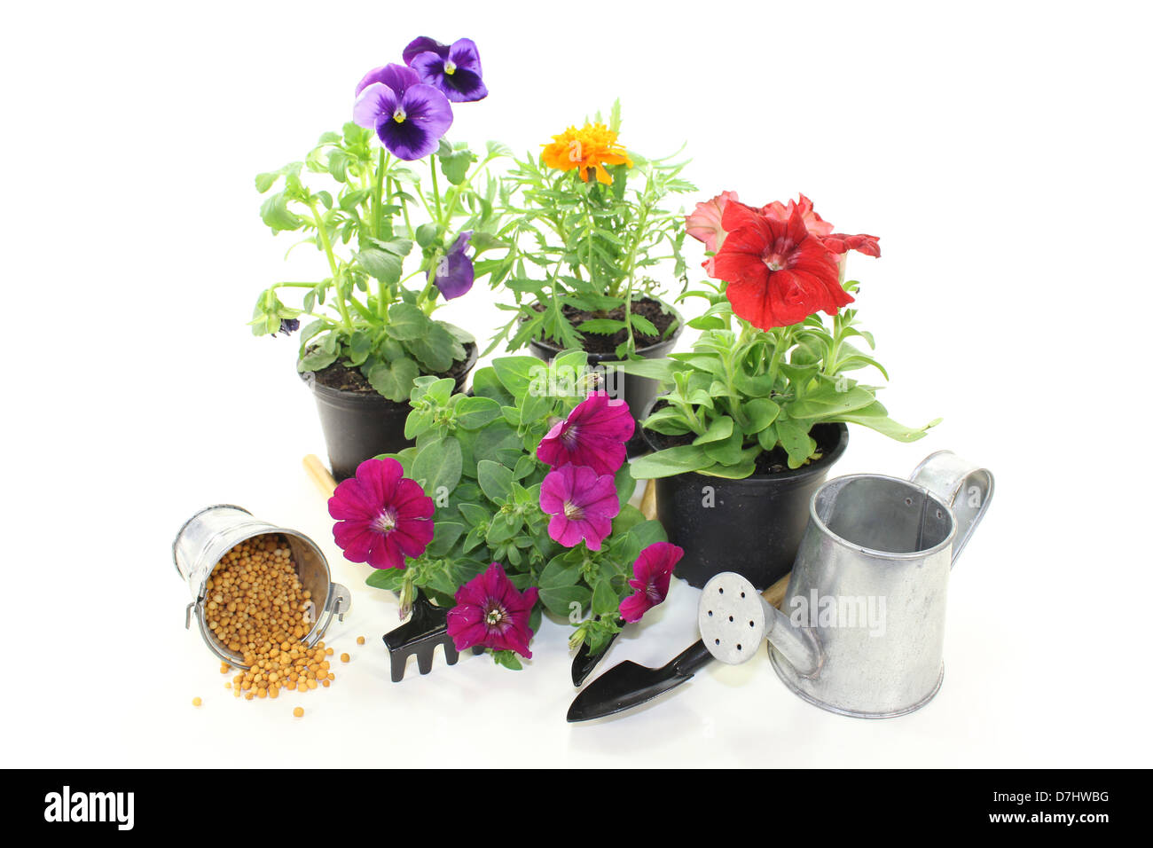 slow-release Fertilizer with flowers and garden tools on a light ...