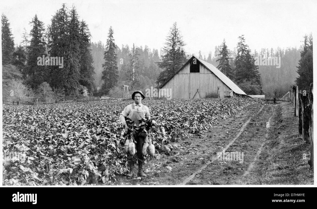 White extension Black and White Stock Photos & Images - Alamy