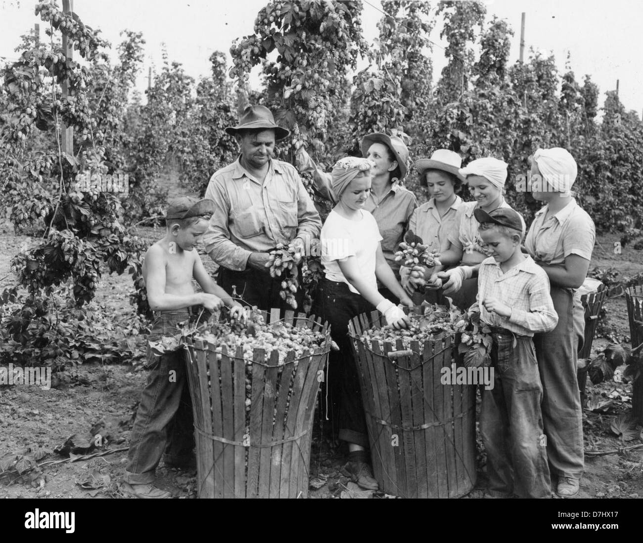 American family life 1940s hi-res stock photography and images - Alamy