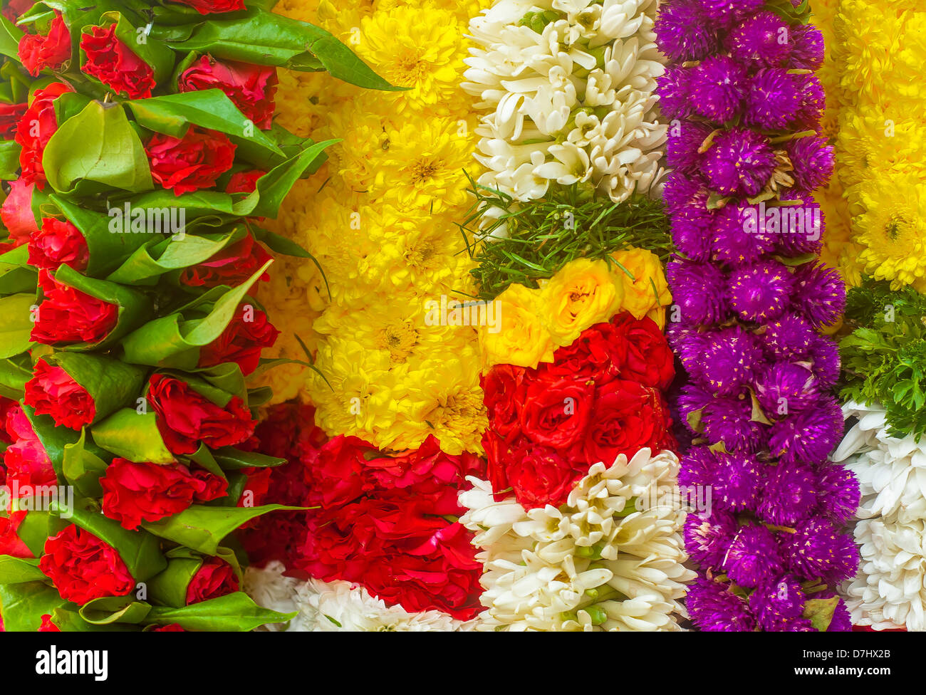 Multiple colors hi-res stock photography and images - Alamy