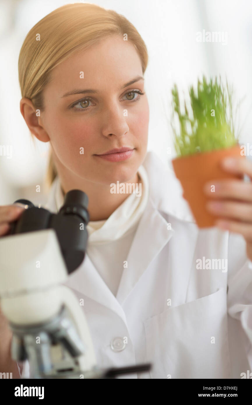 Scientist doing research on microscopes Stock Photo - Alamy