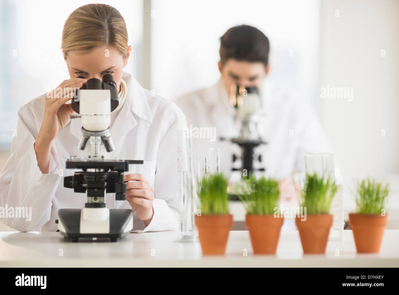 Pharmaceutical research scientists lab hi-res stock photography and images - Alamy