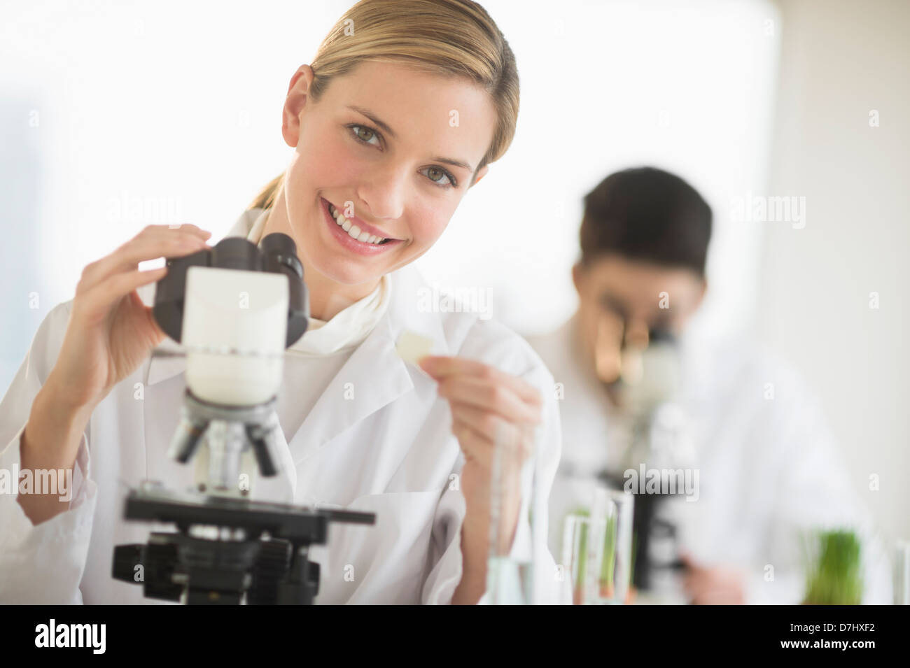 Scientists doing research on microscopes Stock Photo - Alamy