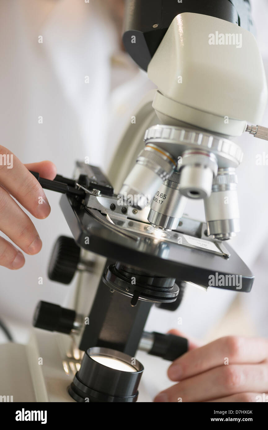 Research specimen hi-res stock photography and images - Alamy