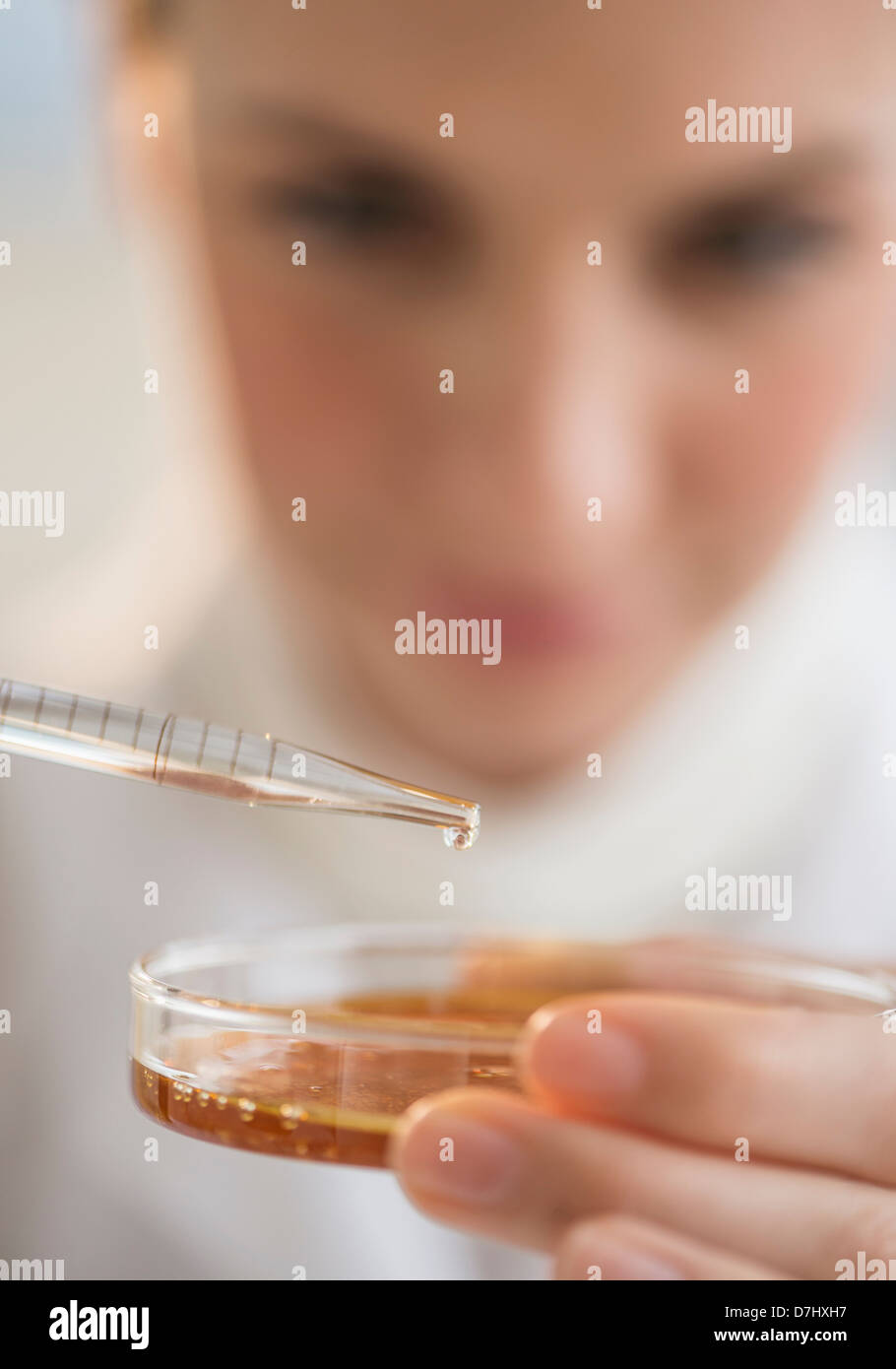 Close-up of scientist using pipette and petri dish Stock Photo - Alamy