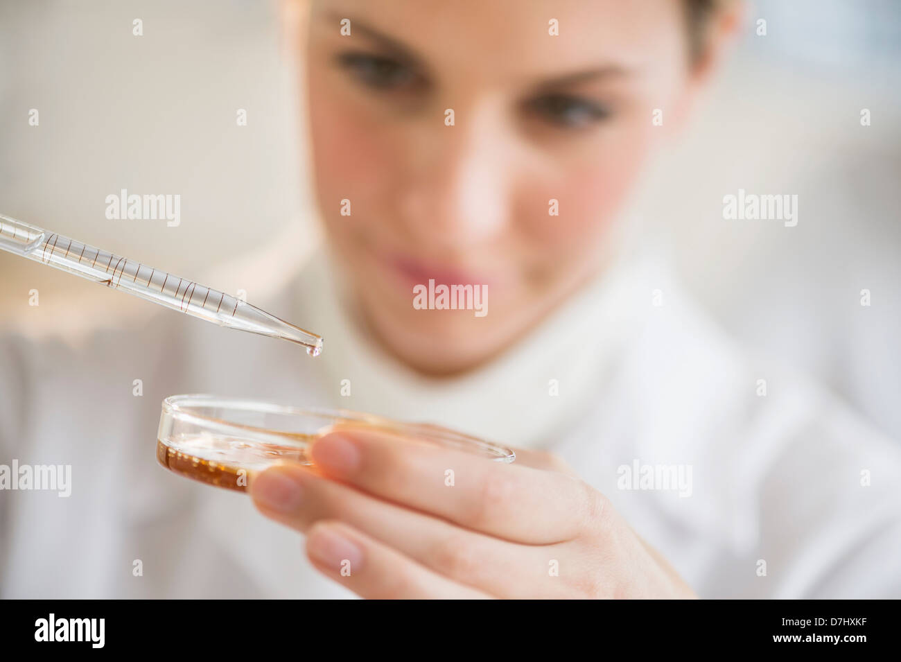 Pipette petri dish hi-res stock photography and images - Alamy
