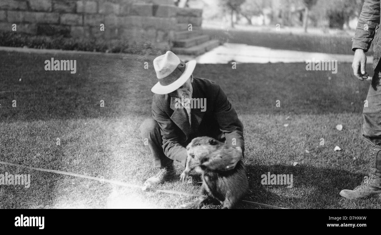 Beaver fur hat hi-res stock photography and images - Alamy