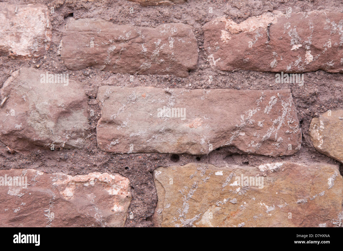 Mortar joints hi-res stock photography and images - Alamy
