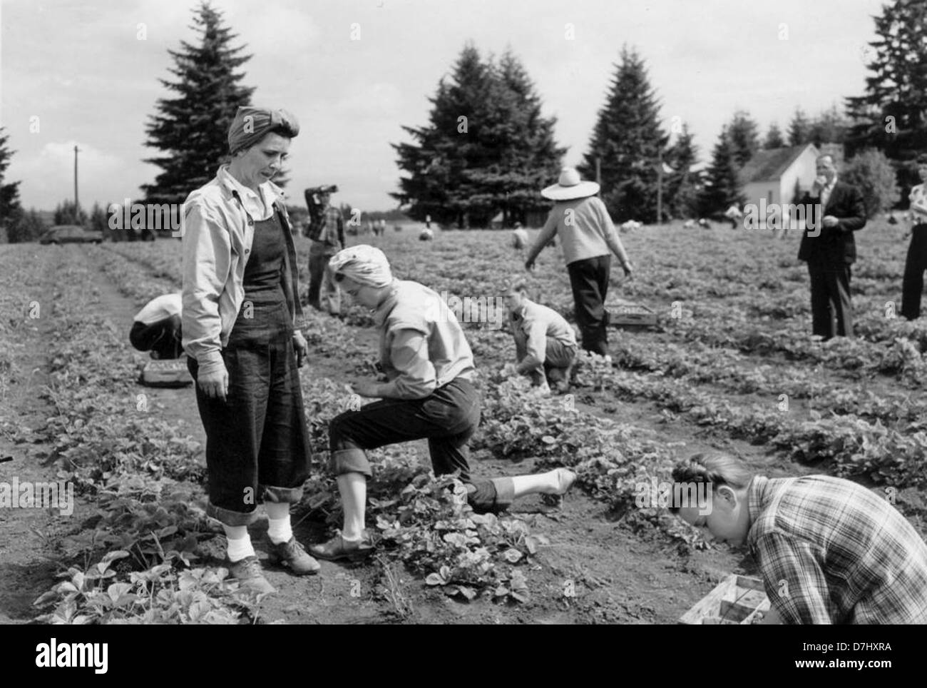 Wartime farm hi-res stock photography and images - Alamy