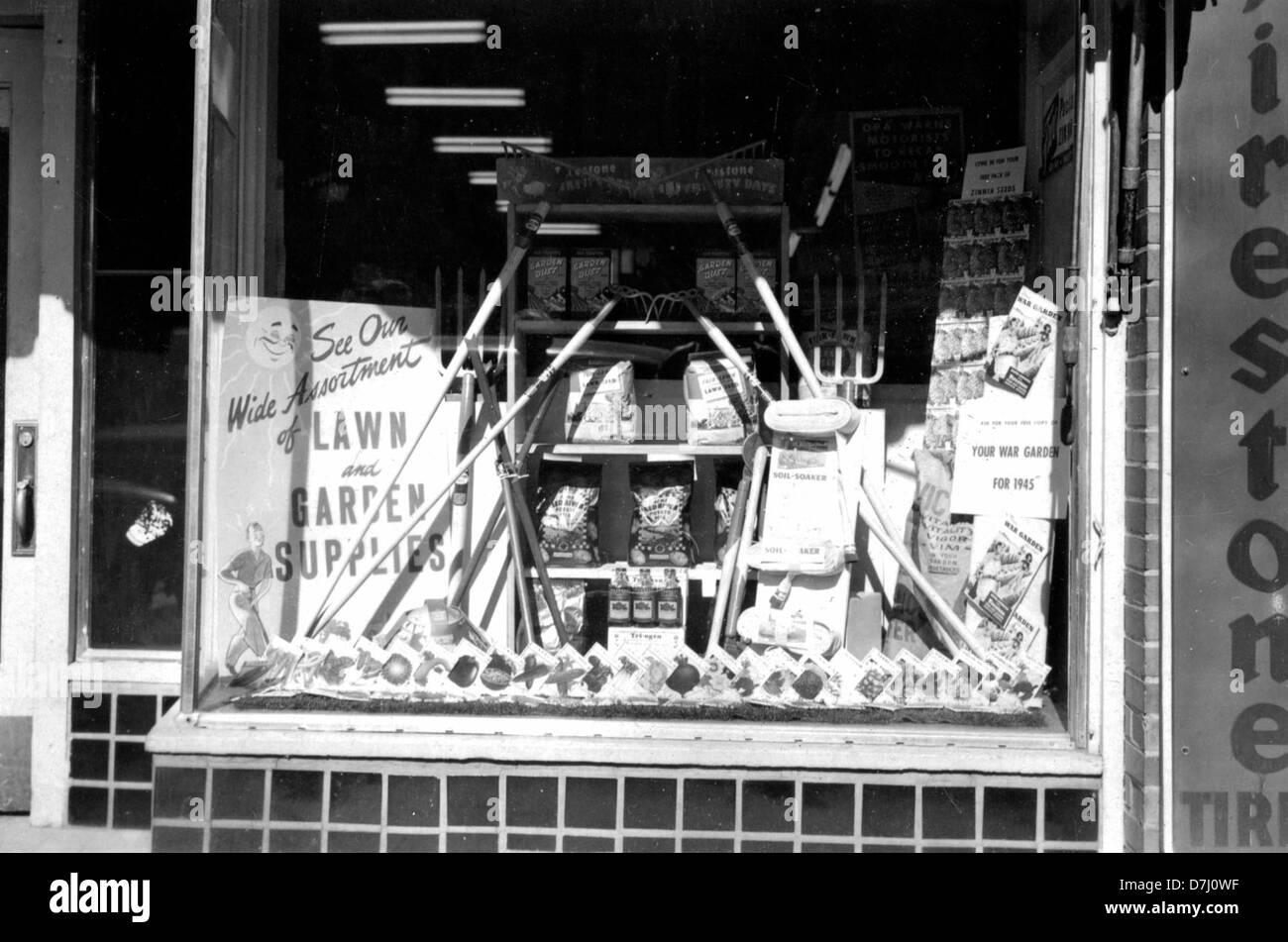 This vintage photograph captures a Firestone tire company window ...