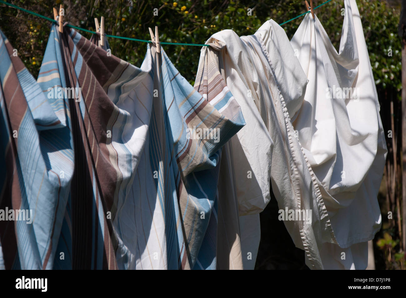 clothes line with washing drying in breeze, wooden clothes pegs, sunny ...