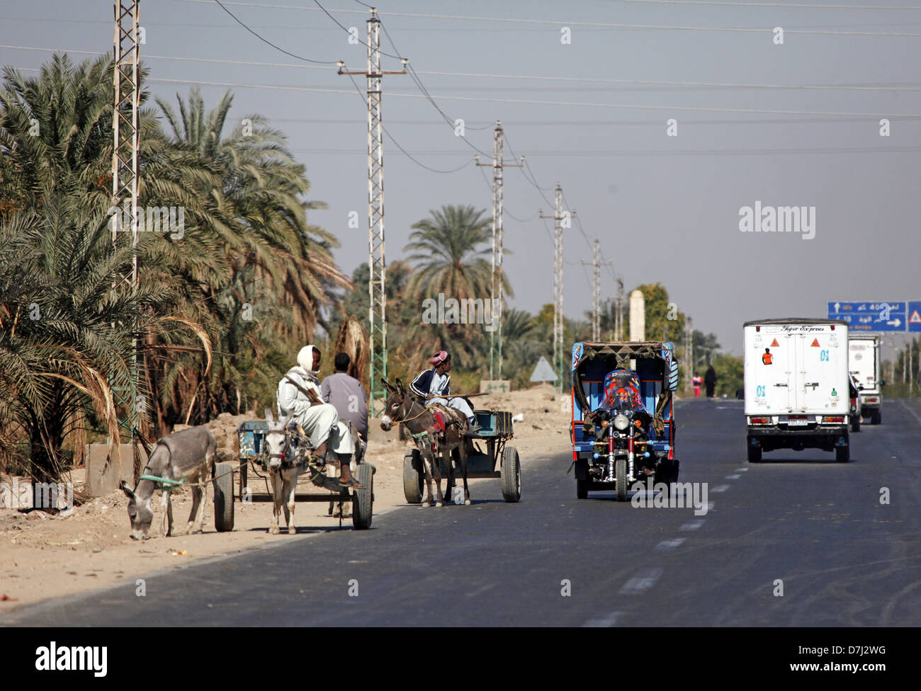DONKEYS & CARTS & MOTOR TRICYCLE NEAR ASWAN EGYPT 11 January 2013 Stock ...
