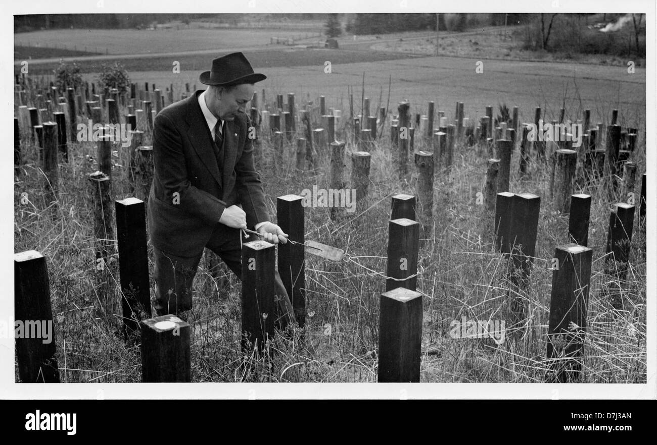 This image shows TJ Starker, a prominent figure in forestry, at the ...