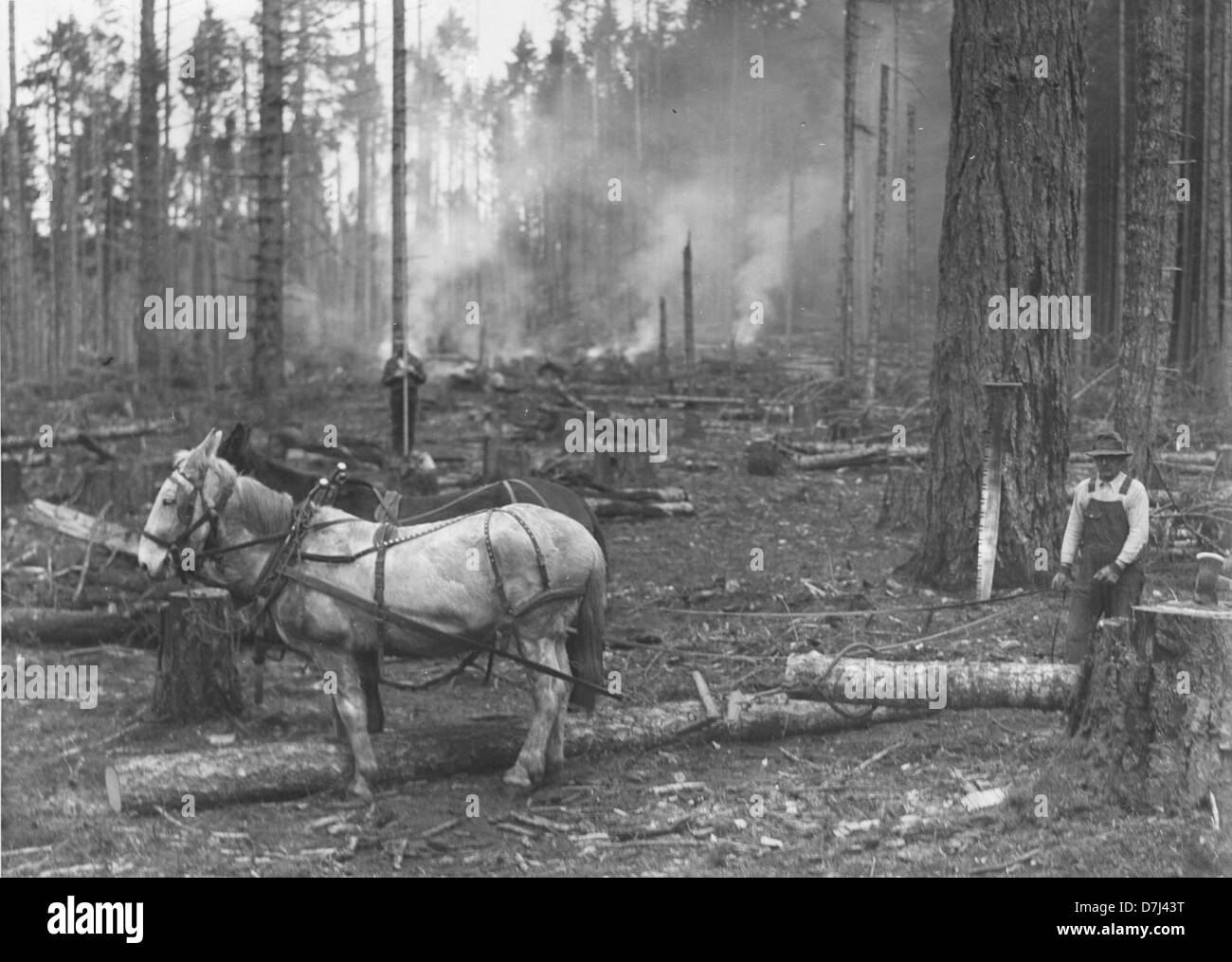 Fireline hi-res stock photography and images - Alamy