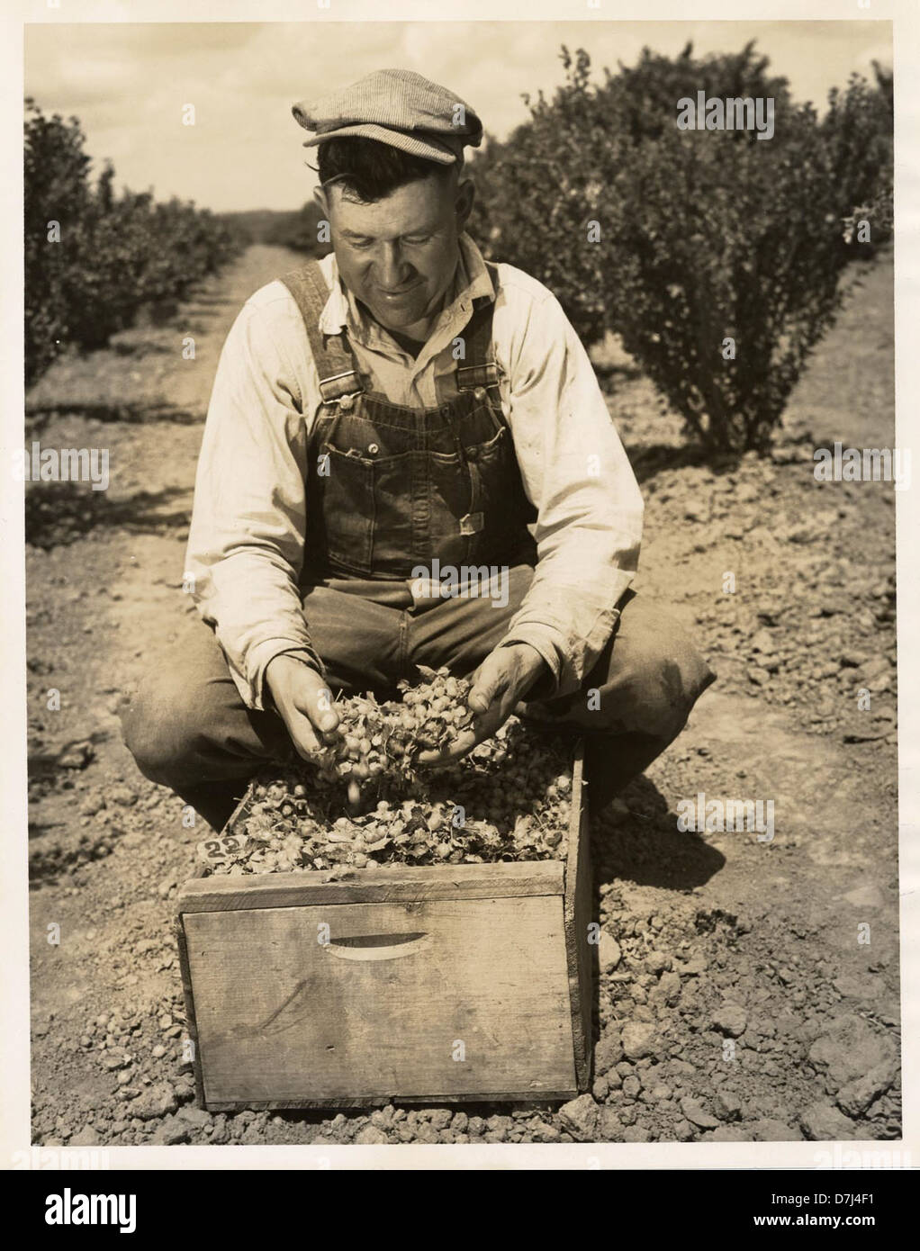 John steiner hi-res stock photography and images - Alamy