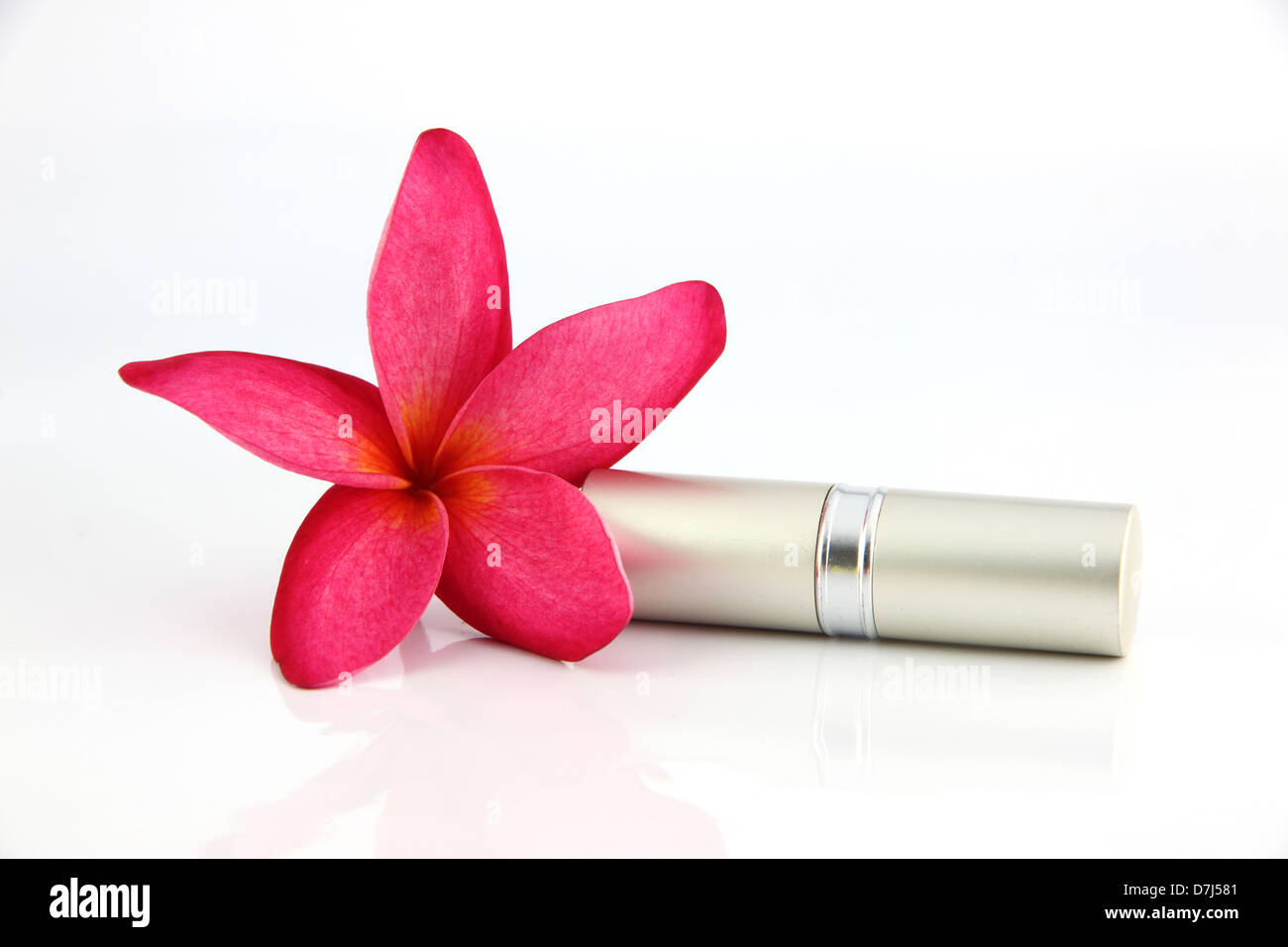 The Red flowers and Lipstick casing Silver on the white Background ...