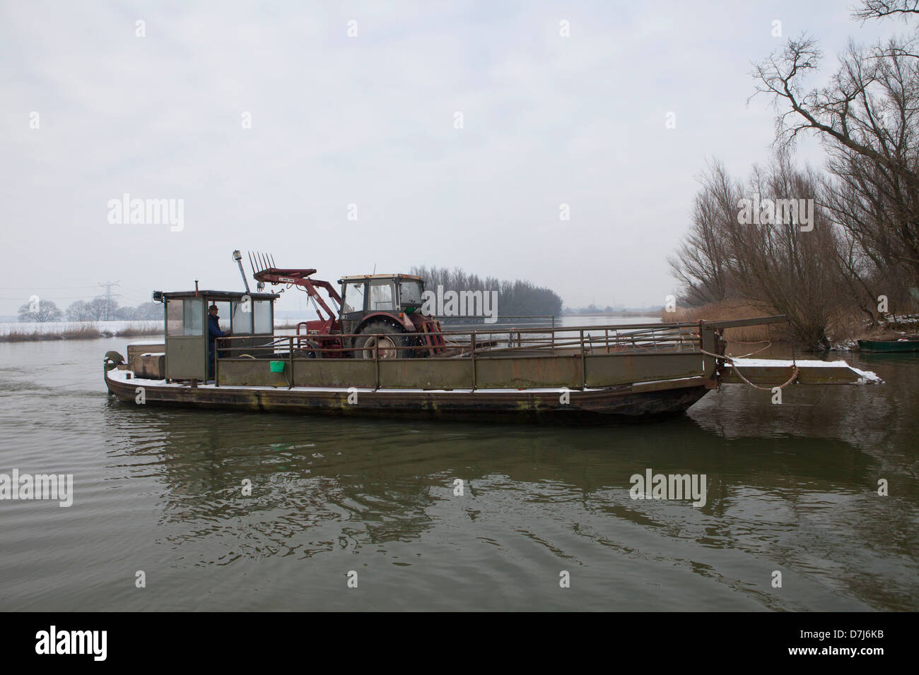 dutch farmers cross their cattle and equipment by ferry Stock Photo - Alamy