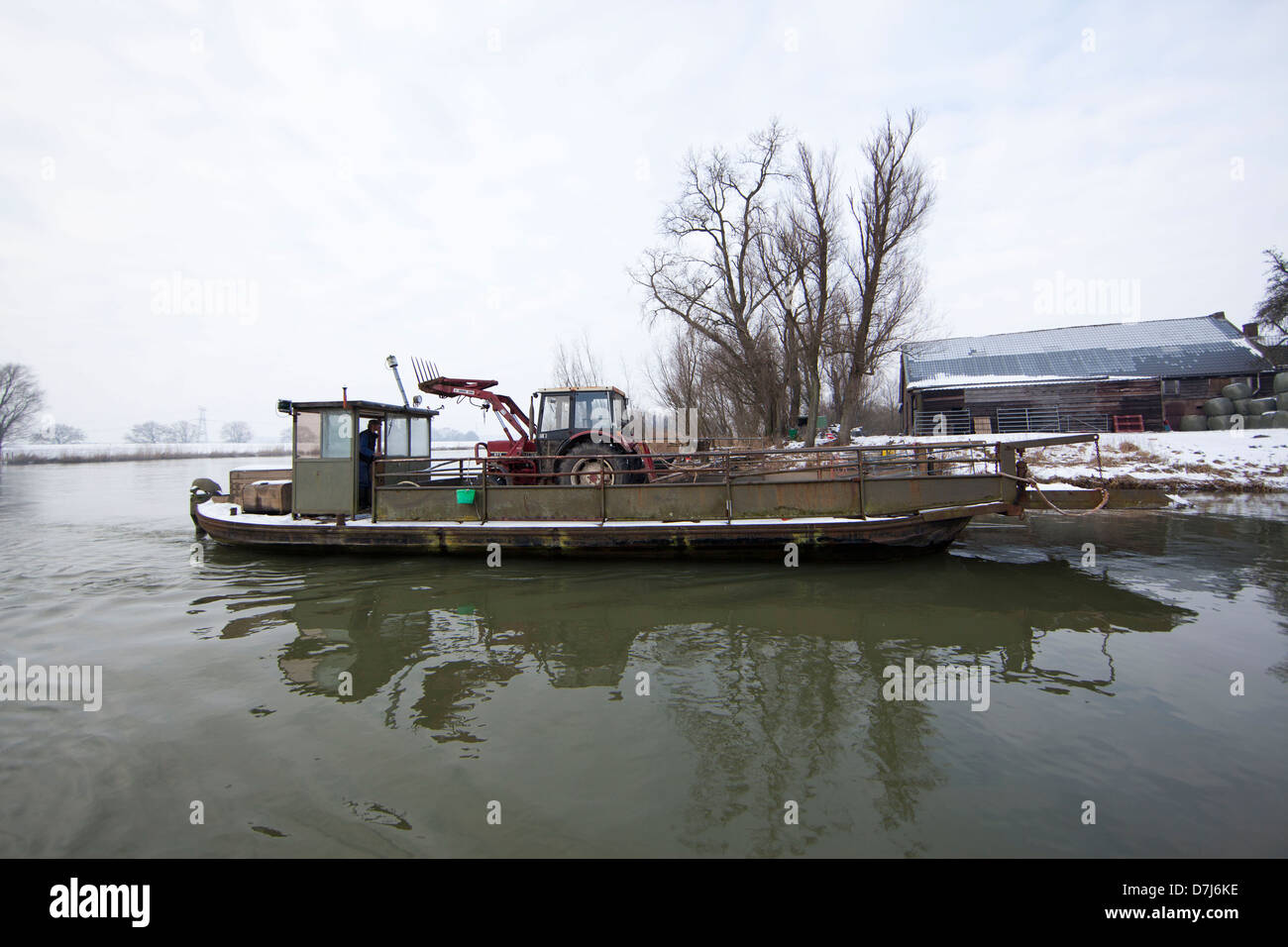 dutch farmers cross their cattle and equipment by ferry Stock Photo - Alamy