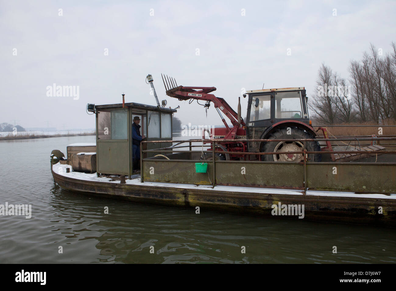 dutch farmers cross their cattle and equipment by ferry Stock Photo - Alamy