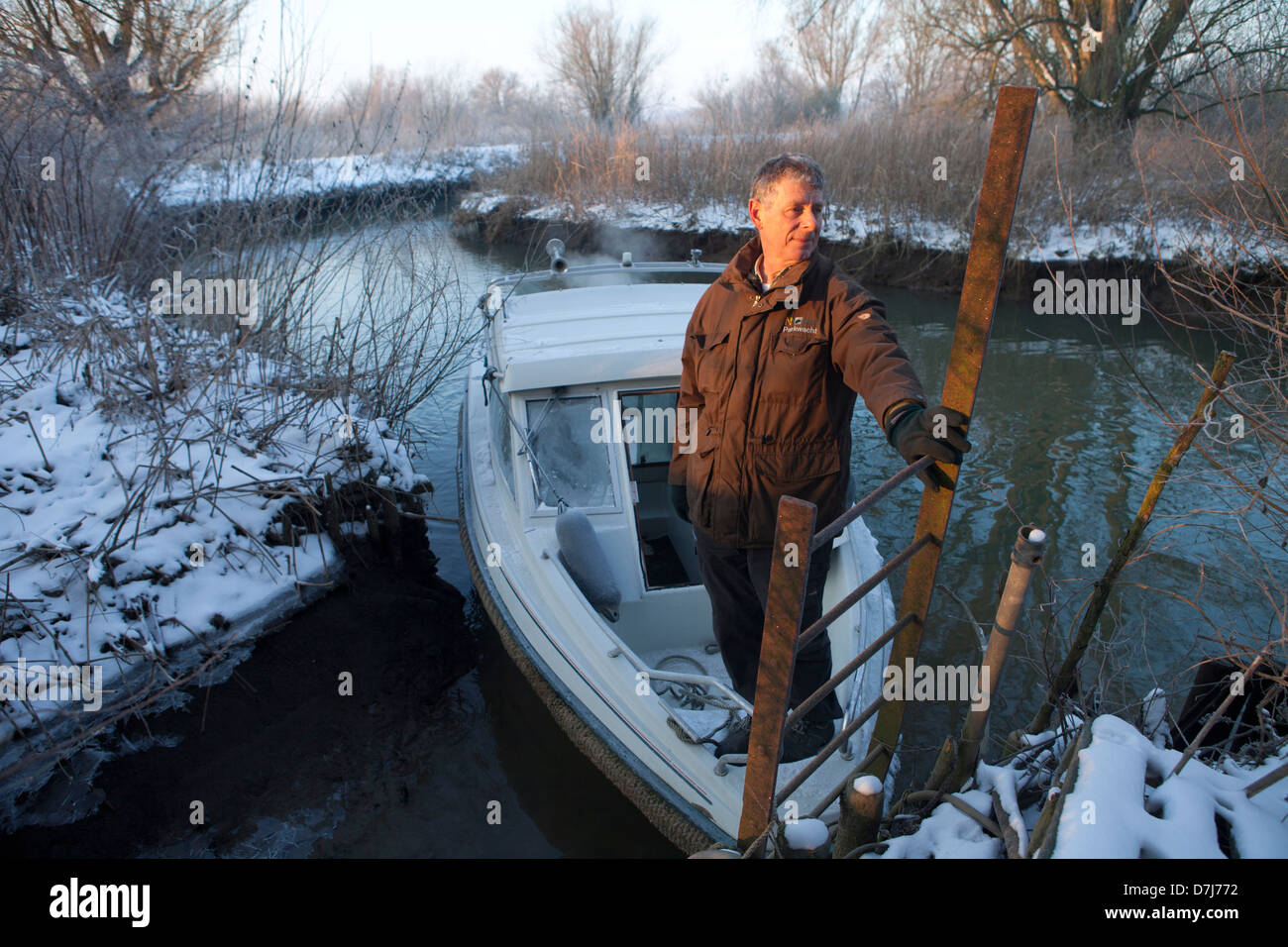 forester at work in national reserve de biesbosch Stock Photo - Alamy