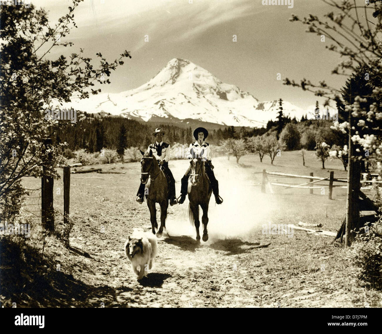 Man and woman on horseback with dog running in front of them Stock ...