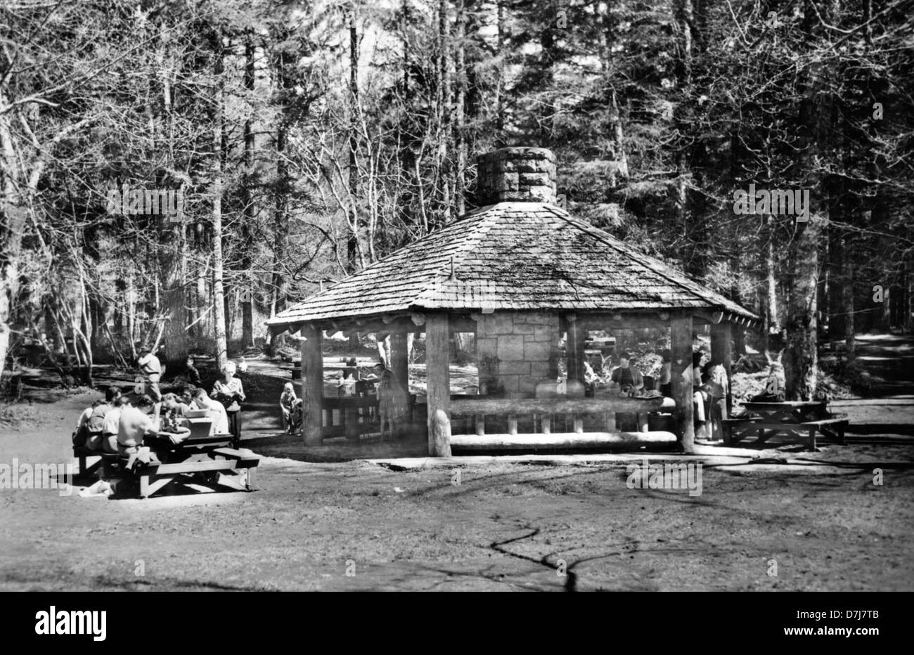The picnic area at Silver Falls offers a serene setting near the park's ...