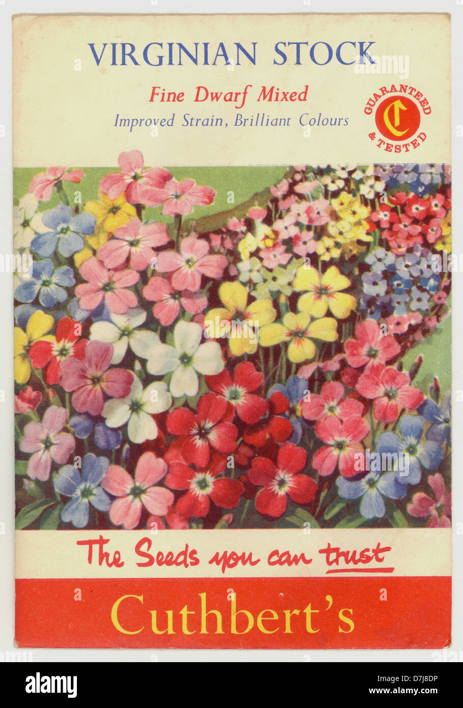 Vintage seed packet, Cuthbert's Virginian Stock Fine Dwarf Mixed dated ...