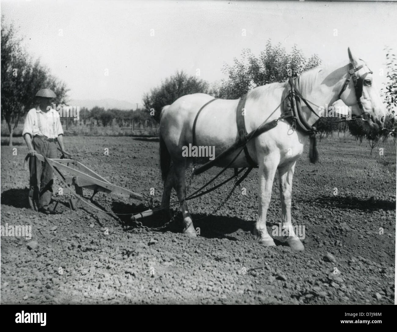 Vintage horse pulling hi-res stock photography and images - Alamy