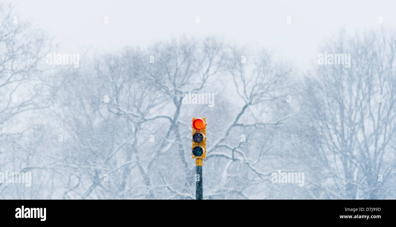 USA, New York, New York City, Red stoplight with winter trees in ...