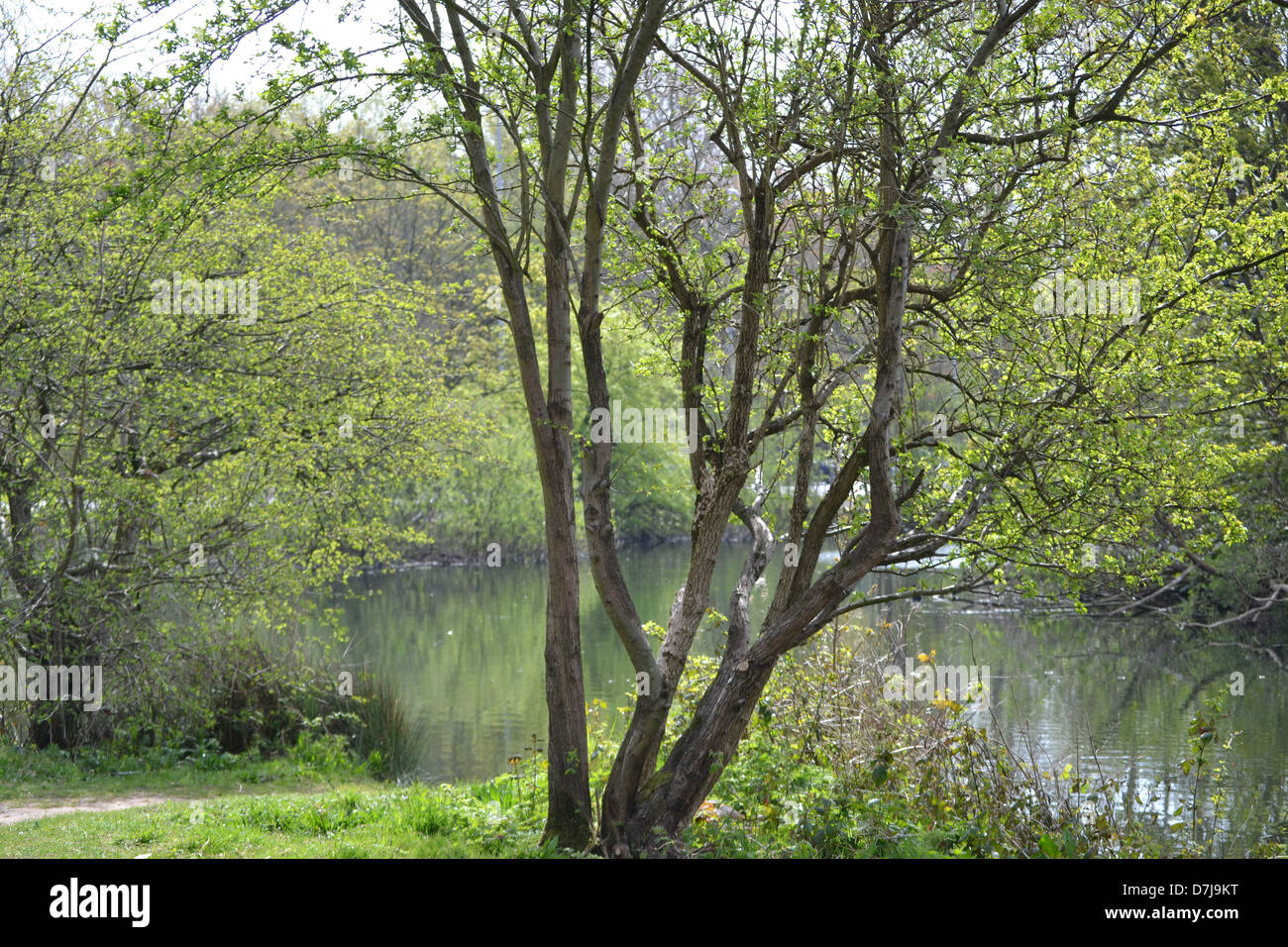 Stanley park blackpool hi-res stock photography and images - Alamy