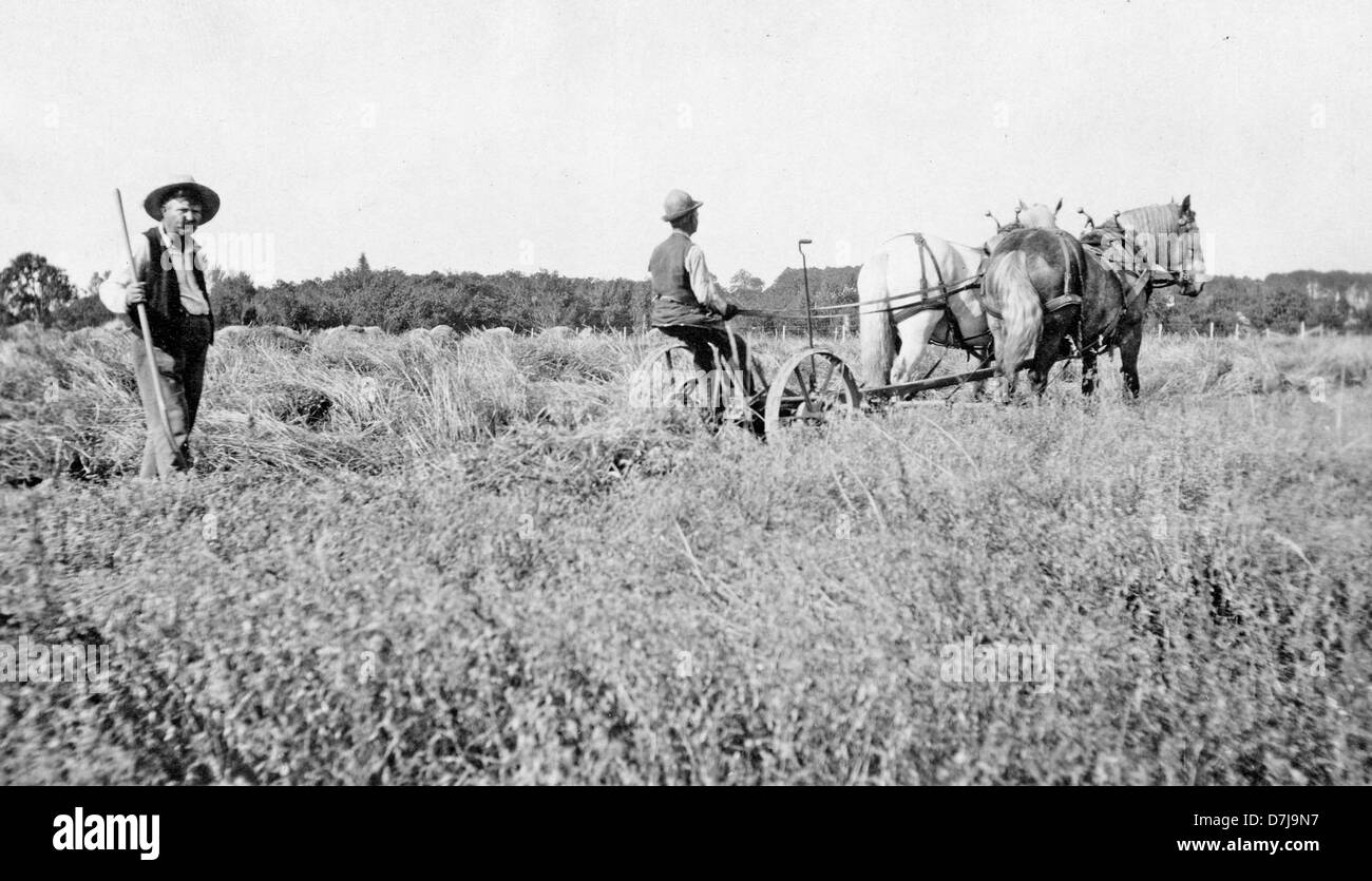 Farming 19th century hi-res stock photography and images - Alamy