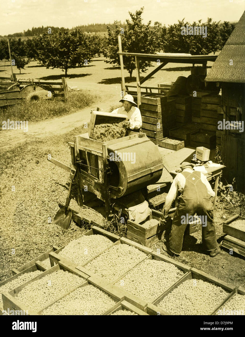 Fanning mill hi-res stock photography and images - Alamy