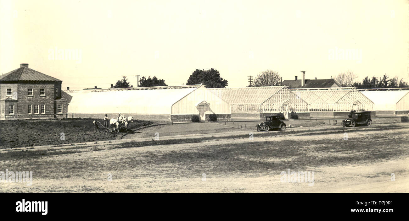 The photograph of the campus greenhouses from 1927 showcases the early ...
