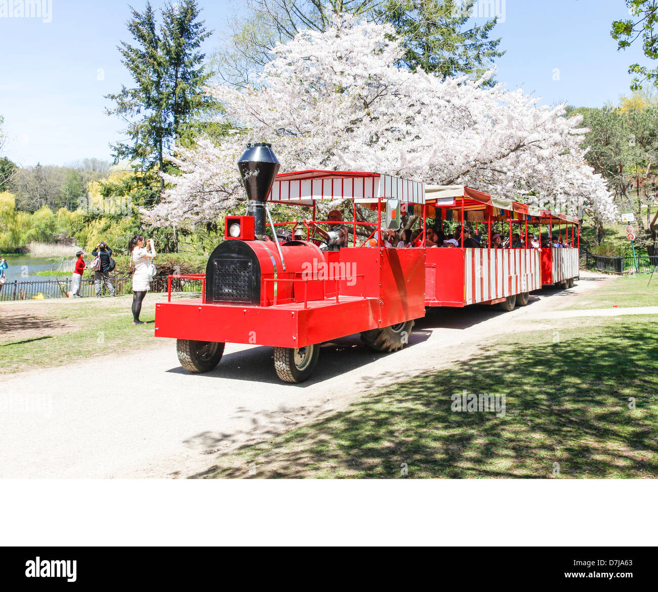 Spring cherry blossom festival train hi-res stock photography and ...