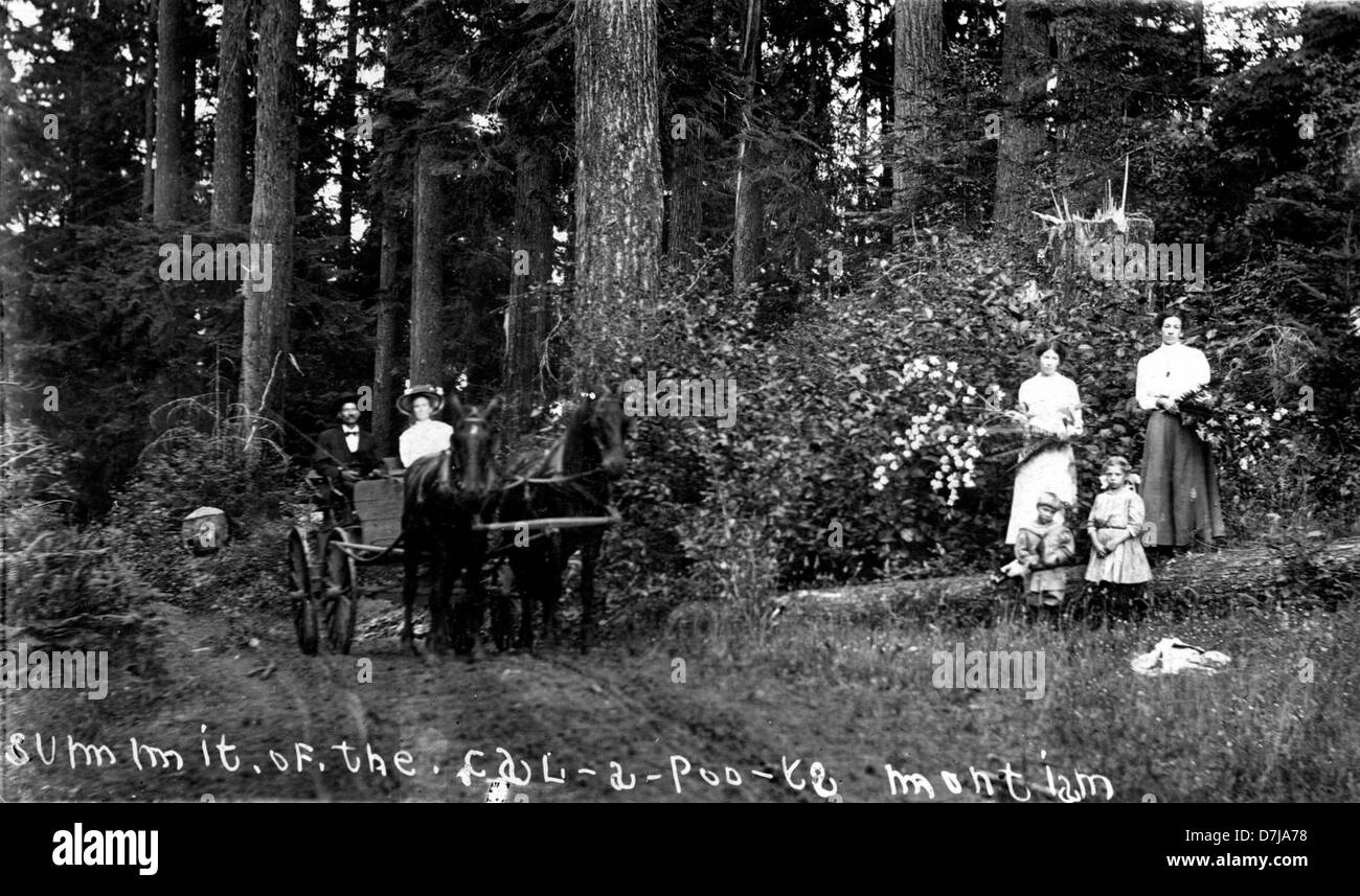 Natural cal Black and White Stock Photos & Images - Alamy