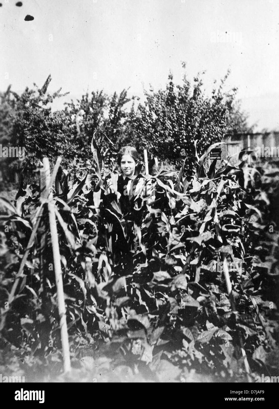 Virginia Walker's 1918 photograph captures the serene garden in La ...