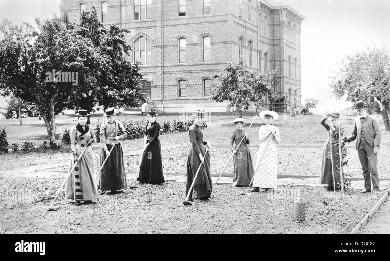 Women working in vegetable garden with Professor George Coote Stock ...