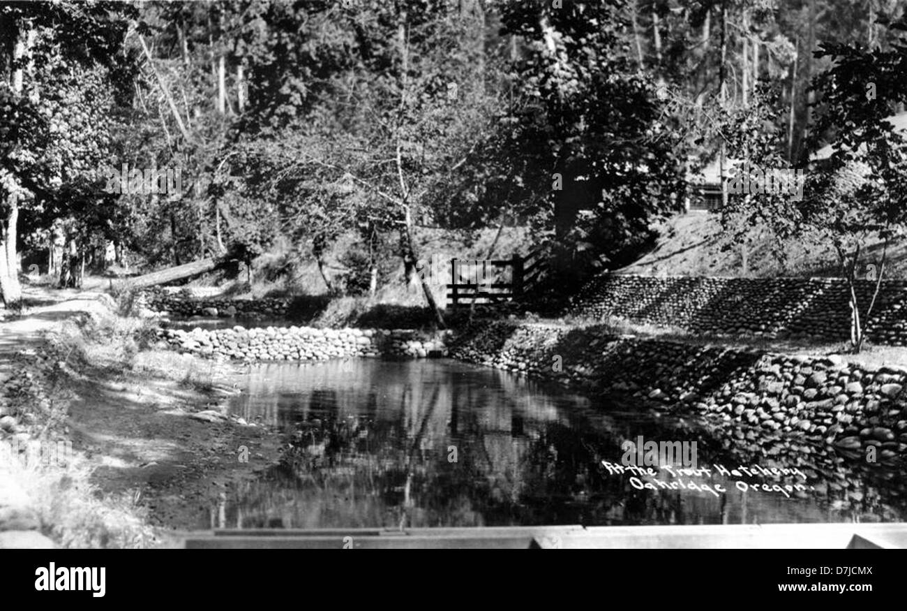 The hatchery Black and White Stock Photos & Images - Alamy