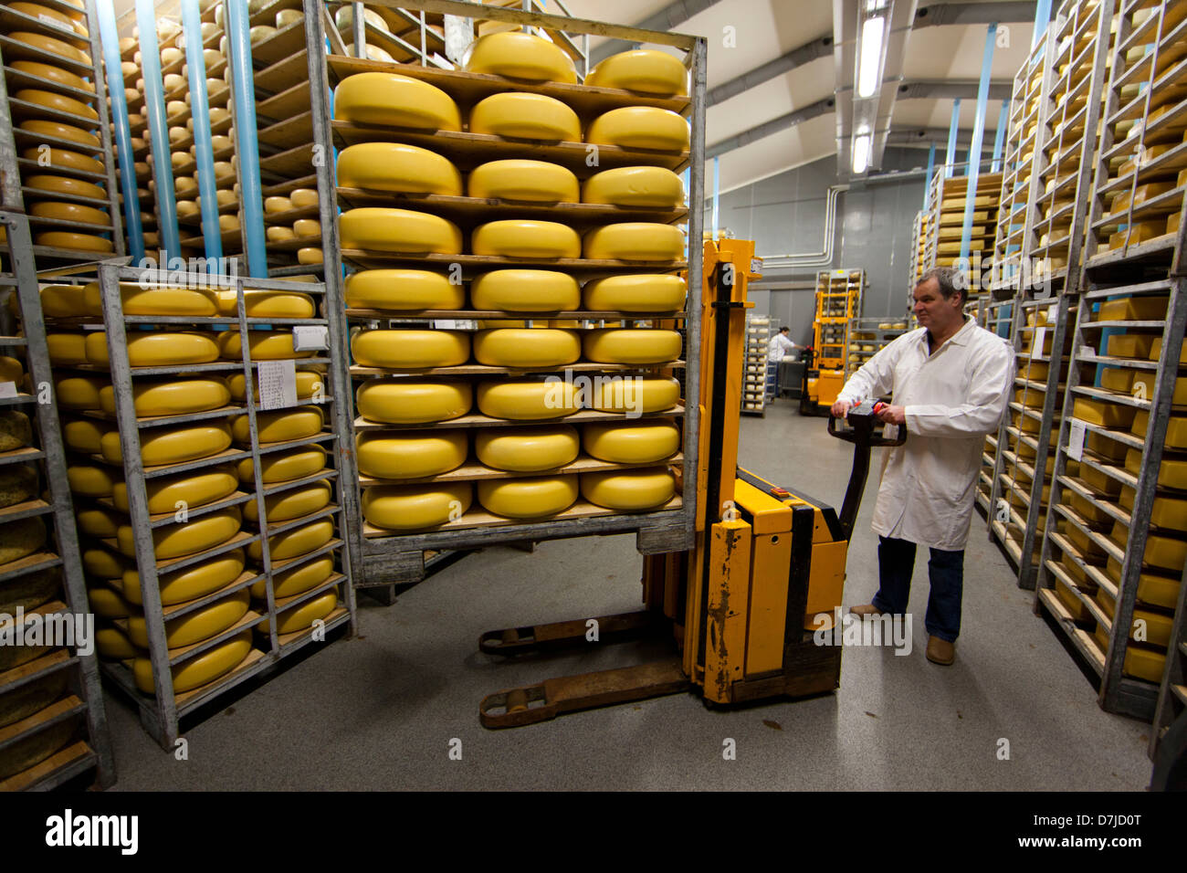 Maturing process hi-res stock photography and images - Alamy