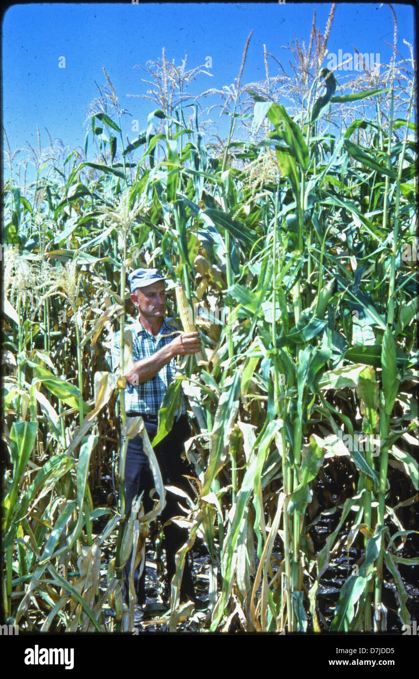 Farming circa 1970s hi-res stock photography and images - Alamy