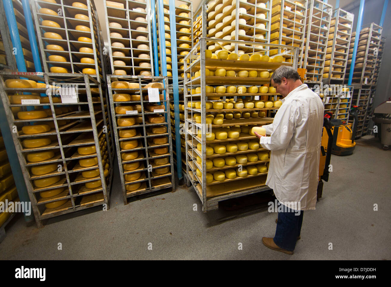 cheese factory in Holland Stock Photo - Alamy
