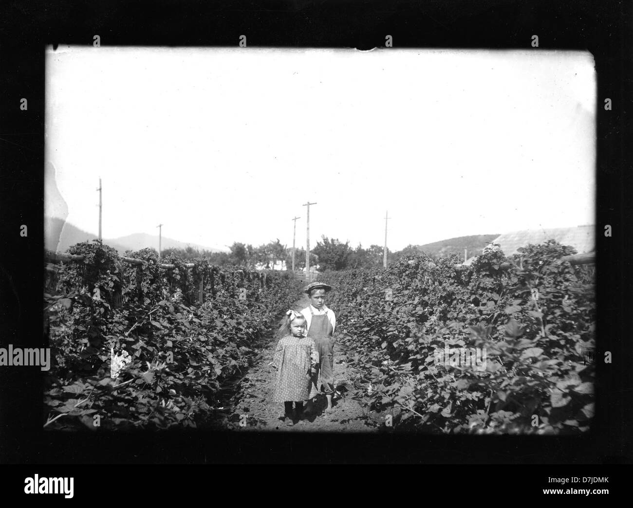 This photograph from around 1900 shows two children standing in a ...