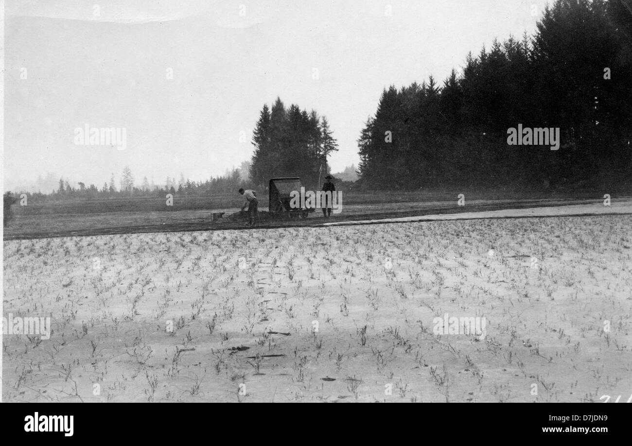 This 1927 photograph captures a field worker spreading sawdust across ...