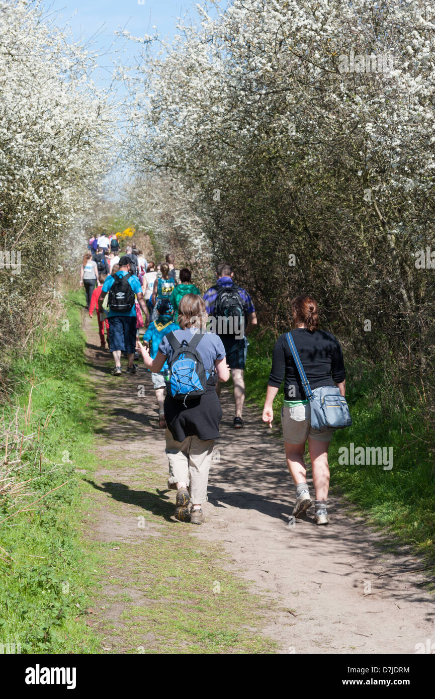 Sponsored walk hi-res stock photography and images - Alamy