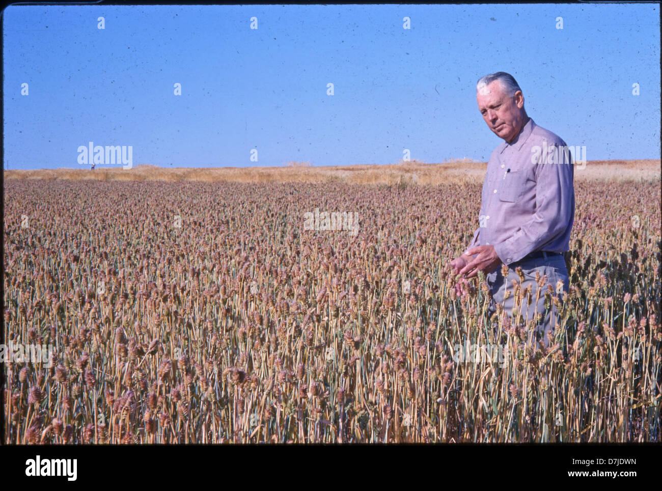 This photograph from circa 1975 features Merrill Oveson standing in a ...