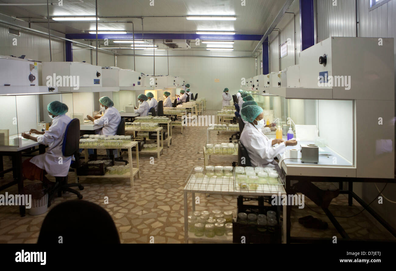 Lab labor hi-res stock photography and images - Alamy