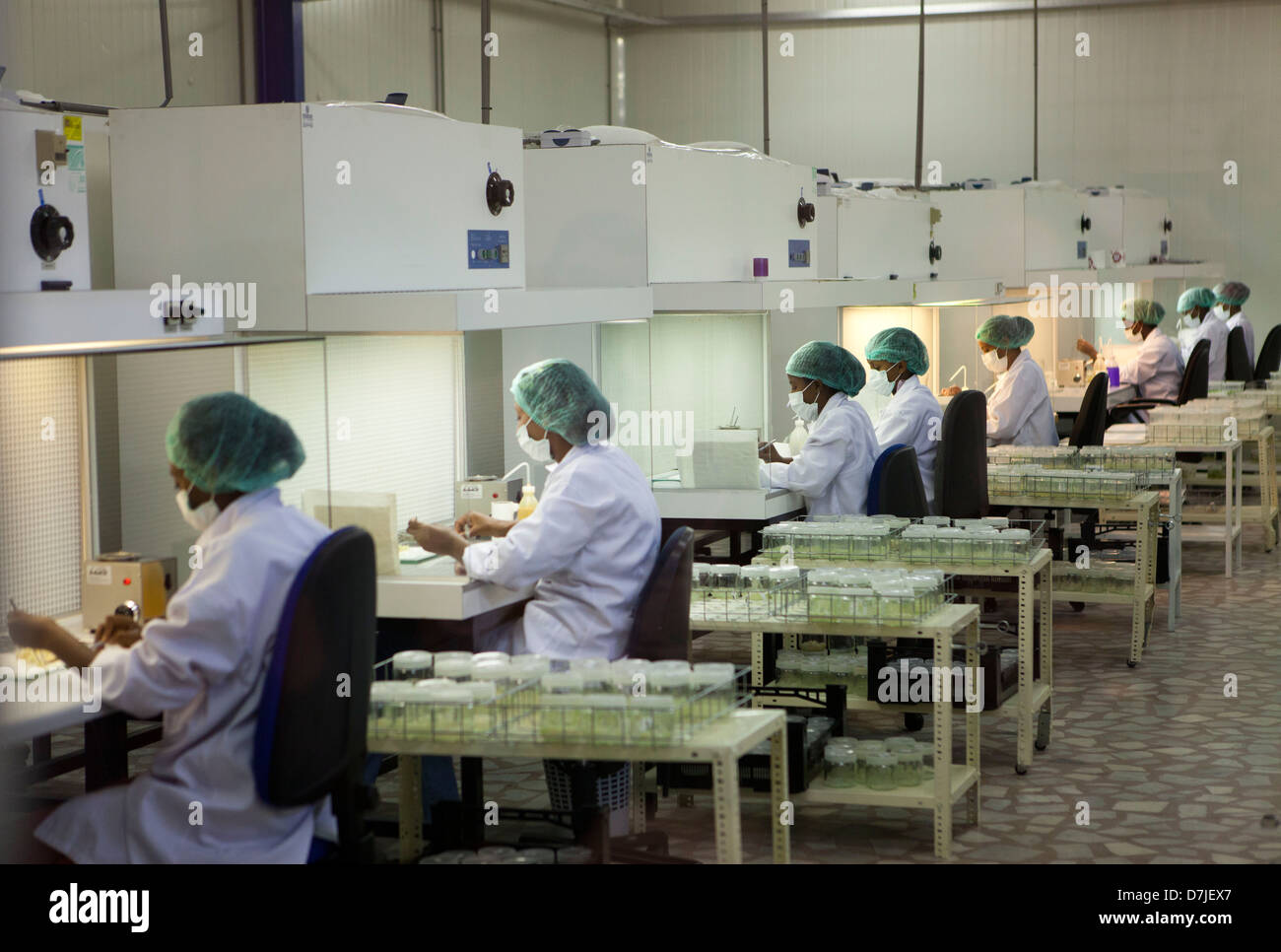 Lab at a Ethiopian flower farm Stock Photo - Alamy